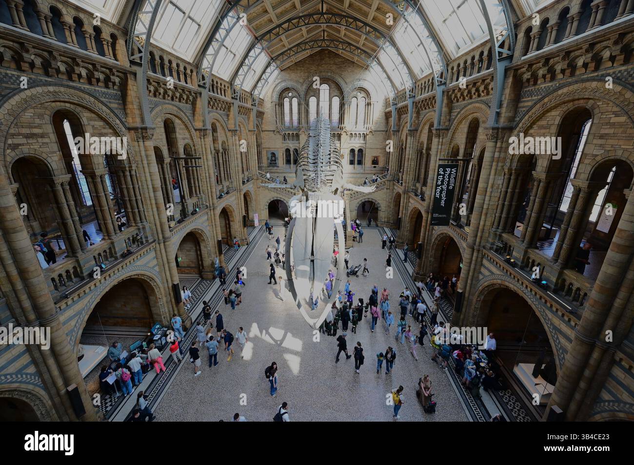 Entrance Foyer of the Natural History Museum in London Stock Photo - Alamy