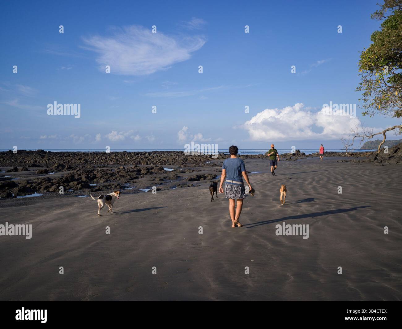 People walking with their dogs along a waterfront shoreline beach ...