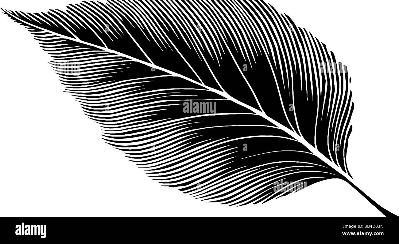 Engraved illustration of stylized leaf design for botanical prints ...