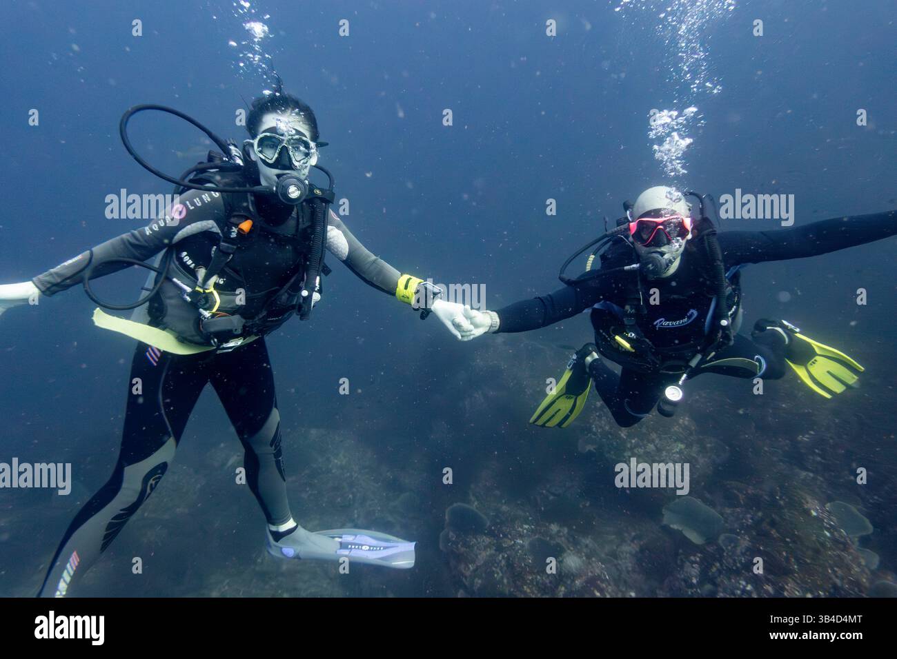 Underwater view of scuba divers swimming holding hands below the ocean ...