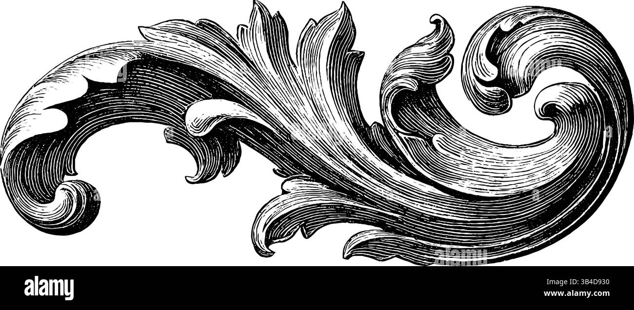 Ornamental scrollwork design in black and white - engraved vintage ...