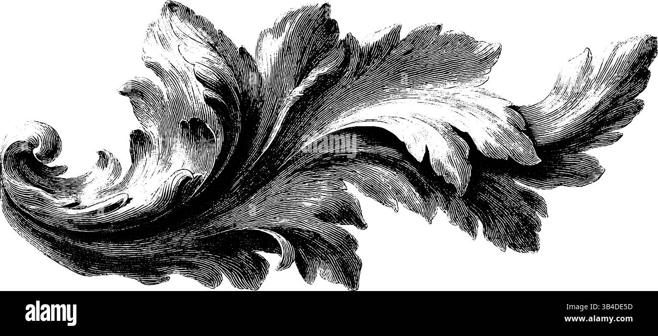 Acanthus scroll hi-res stock photography and images - Alamy