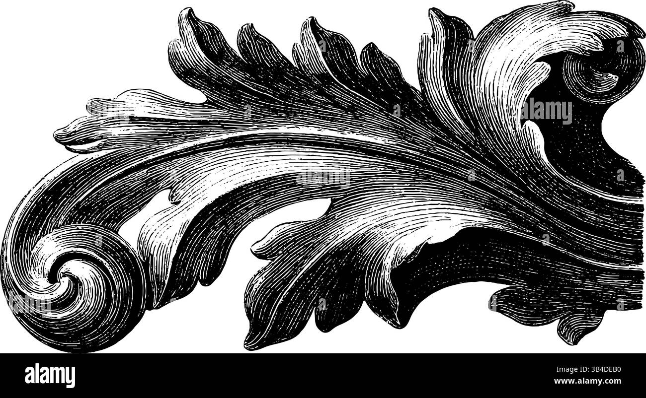 Acanthus scroll hi-res stock photography and images - Alamy