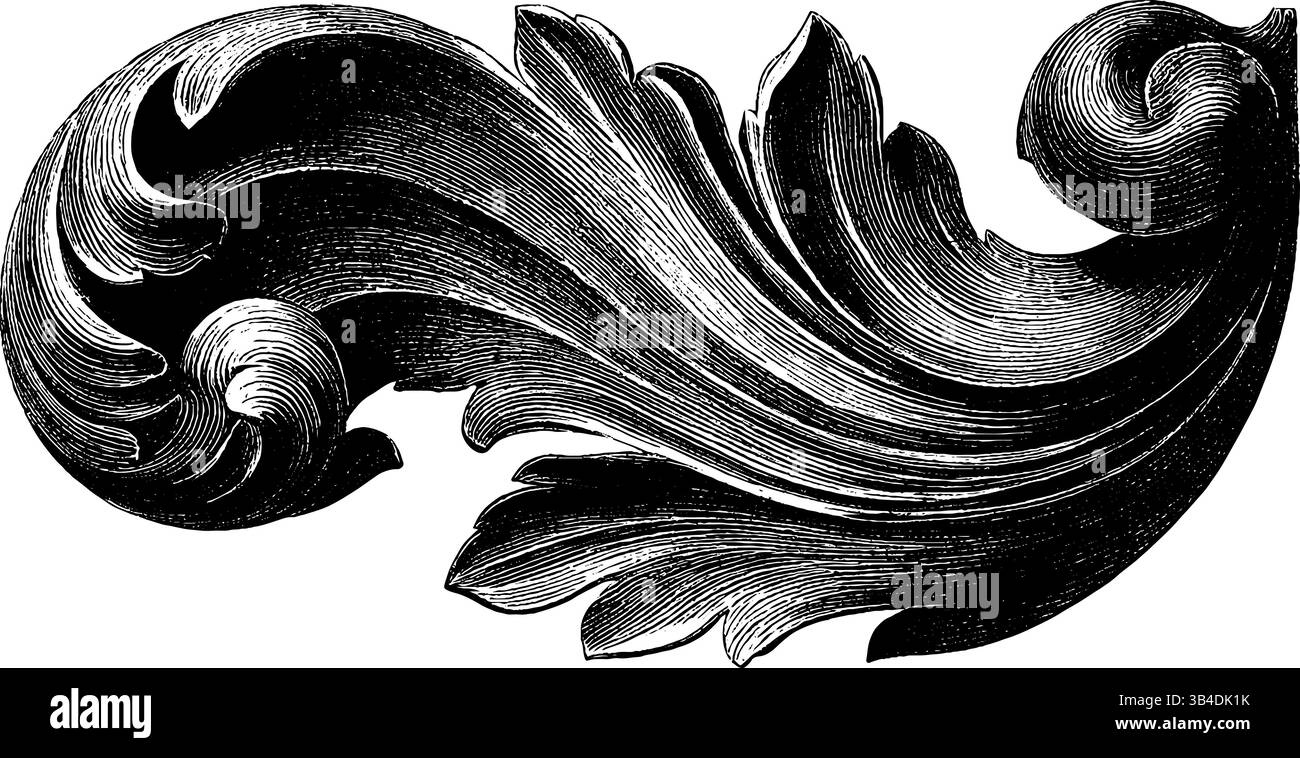 Engraved illustration of foliated volute design for artistic decoration ...