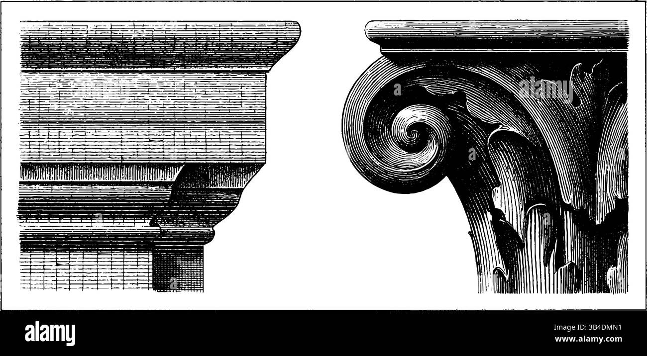 Engraved architectural pedestal and scroll design for historical art ...