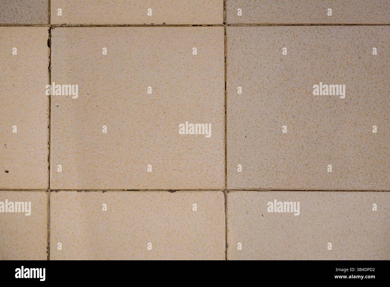 Neutral-Toned Ceramic Tiles with Defined Grout Lines Stock Photo - Alamy