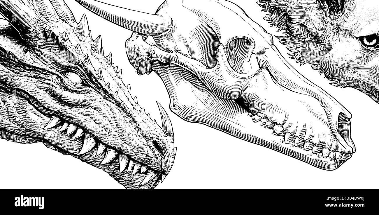 Engraved illustration set of dragon, animal skulls, and mythical ...