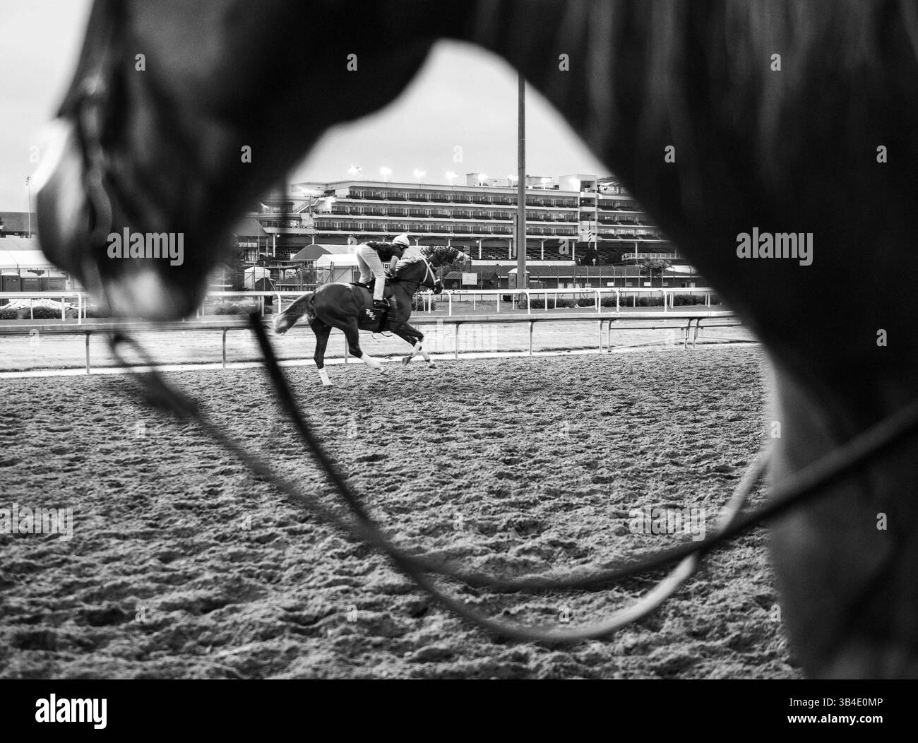 April 30, 2025, Louisville, Ky, USA: Scenes from the backside as horses ...