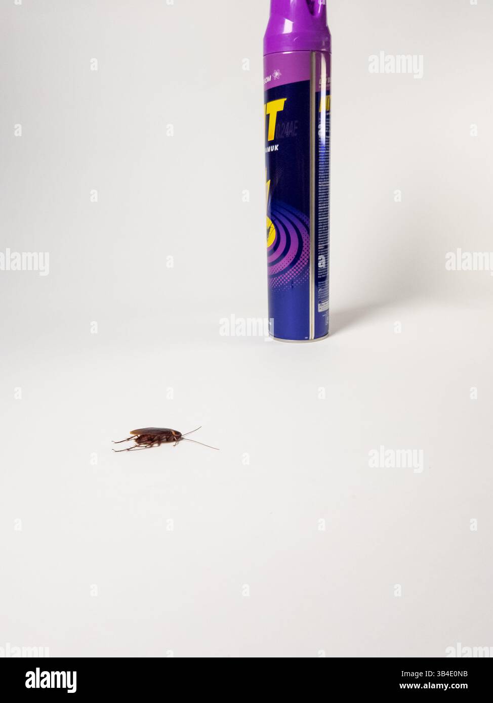 Insecticide spray can and a cockroach against a plain white background ...