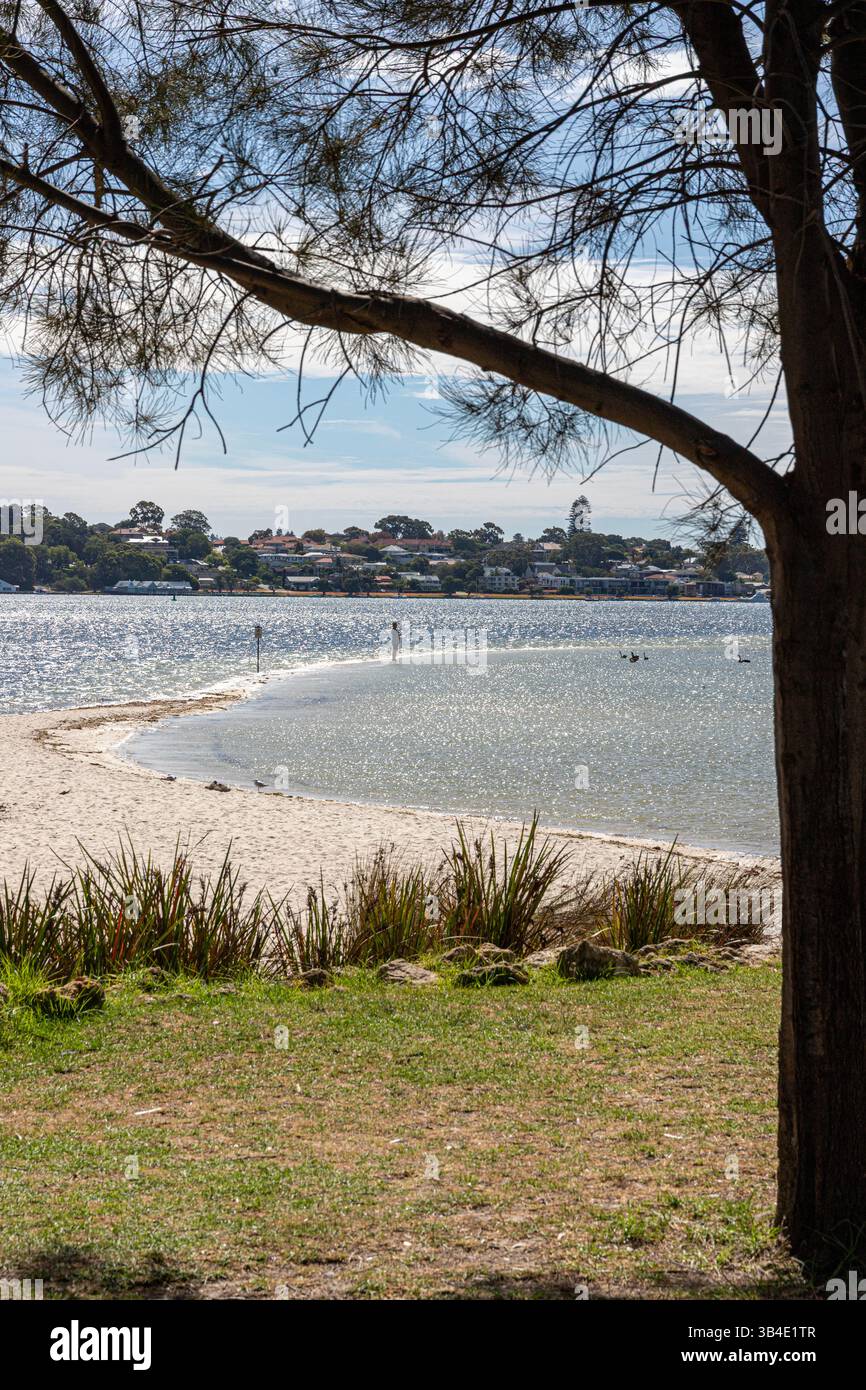 The incoming tide encroaching on the sandbar at Point Walter ...