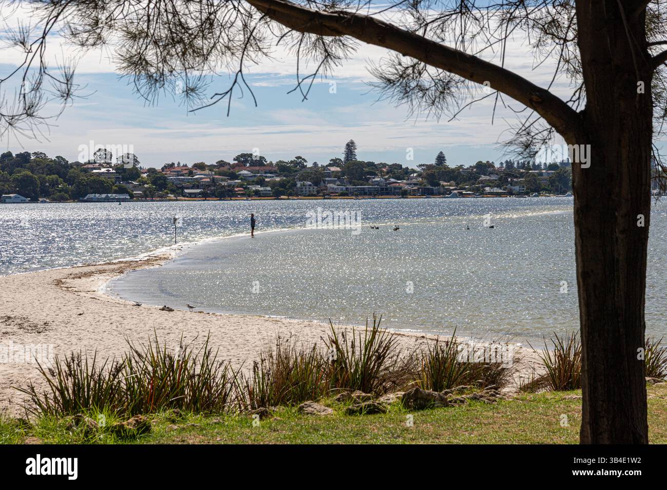 The incoming tide encroaching on the sandbar at Point Walter (Dyoondalup) on the Swan River ...