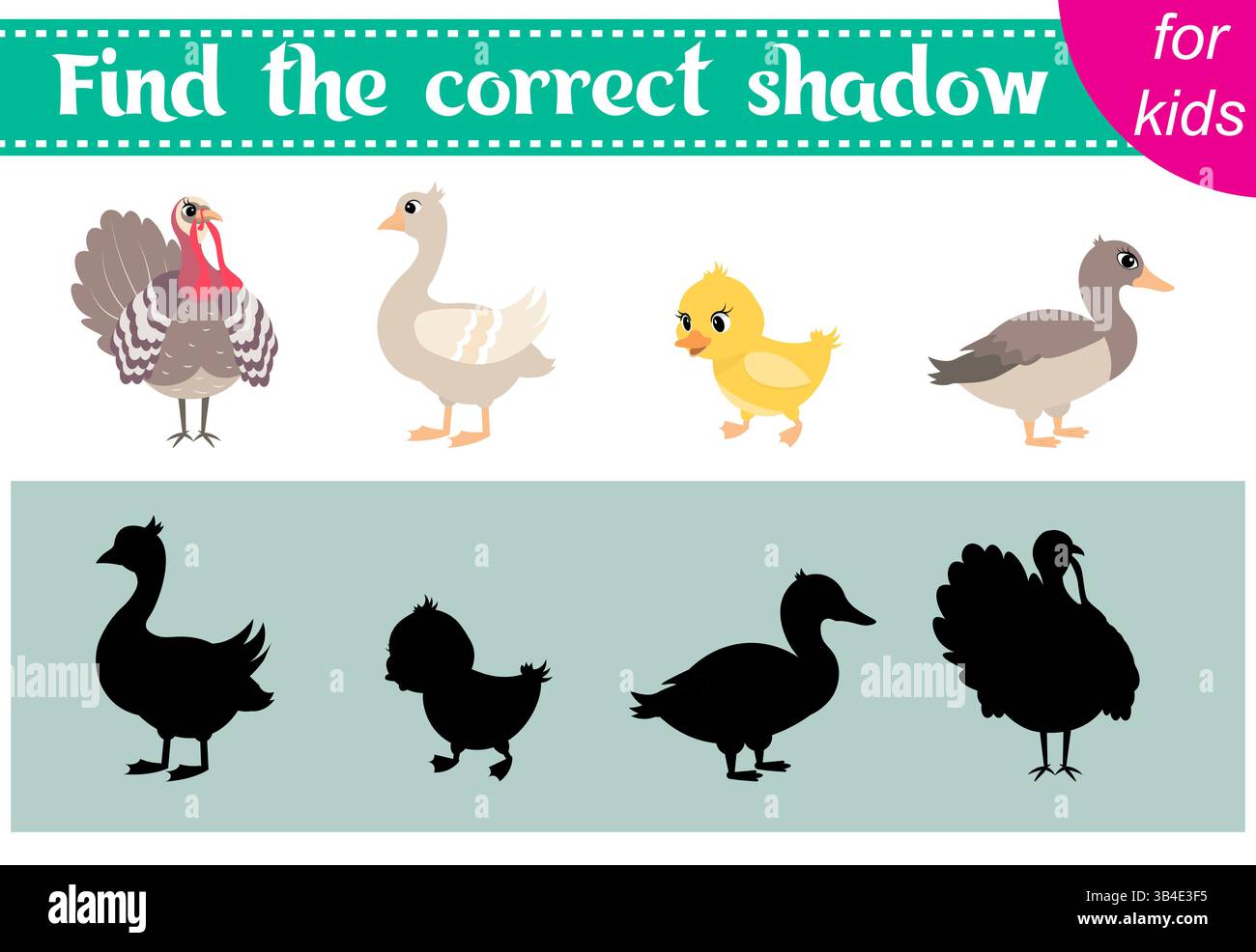 Brainteaser for kids. Farm animals. Turkey, goose, duck and duckling ...