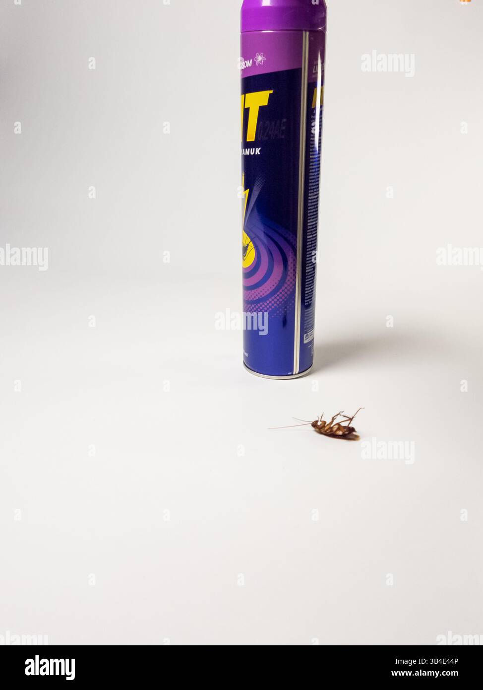 Cockroach killed insecticide spray hi-res stock photography and images ...