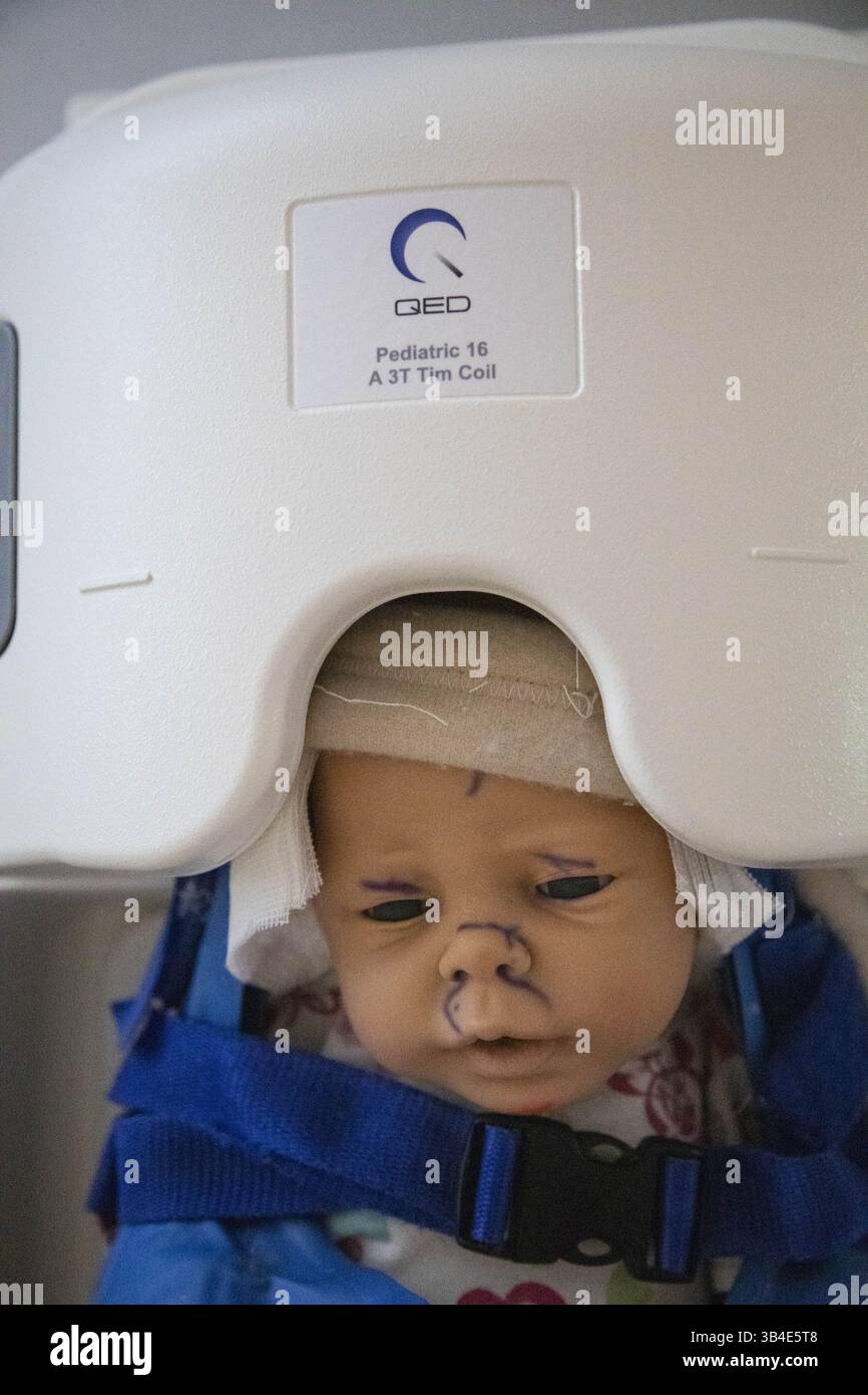 MILAN, Buzzi Hospital Lions Clubs International Foundation, Lions Club ...