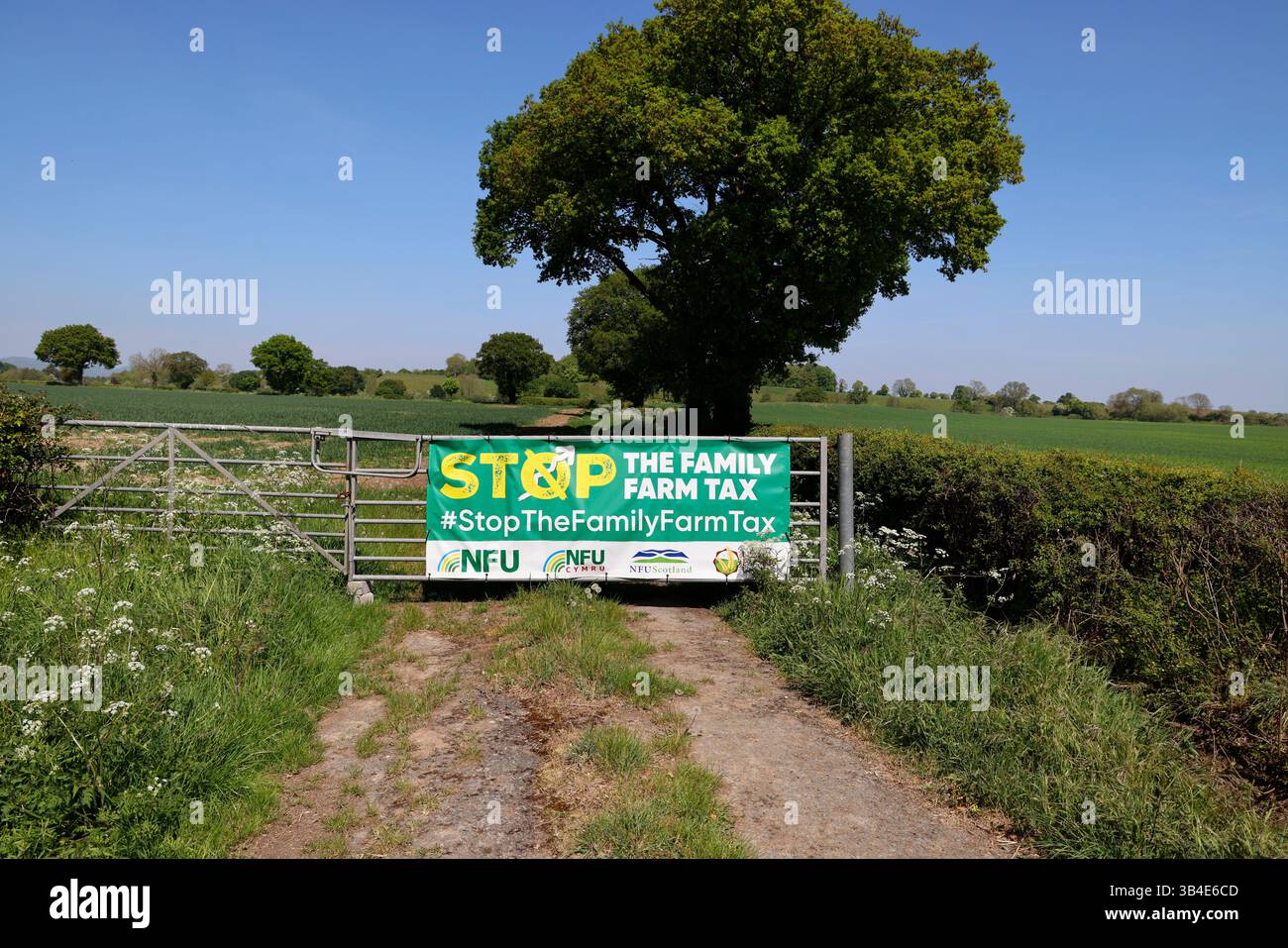 A 'Stop The Family Farm Tax' campaign protest banner, on a field gate ...