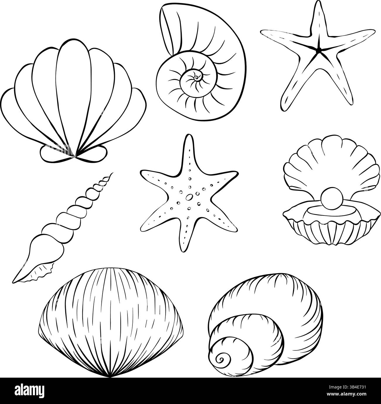 Seashells Illustration set. Vector graphic line ink icon isolated ...