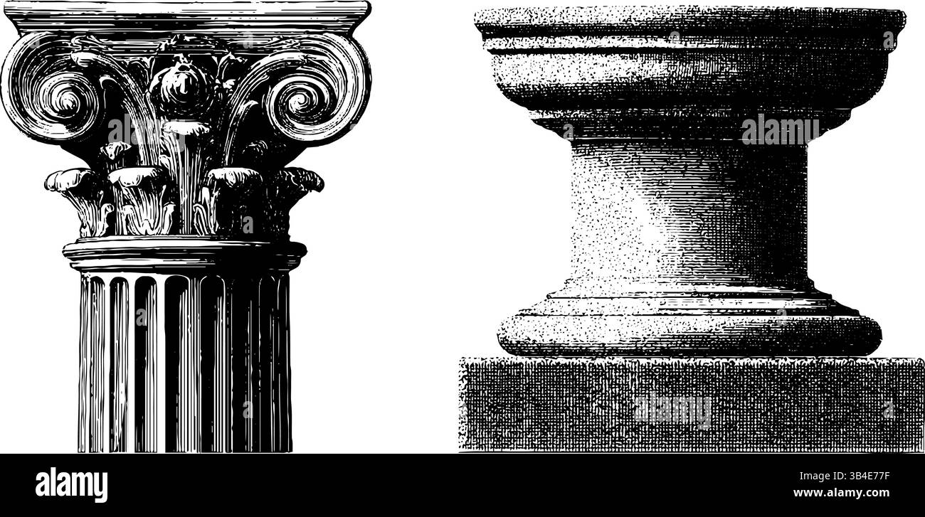 Classical ionic columns and capitals engraved illustration for ...