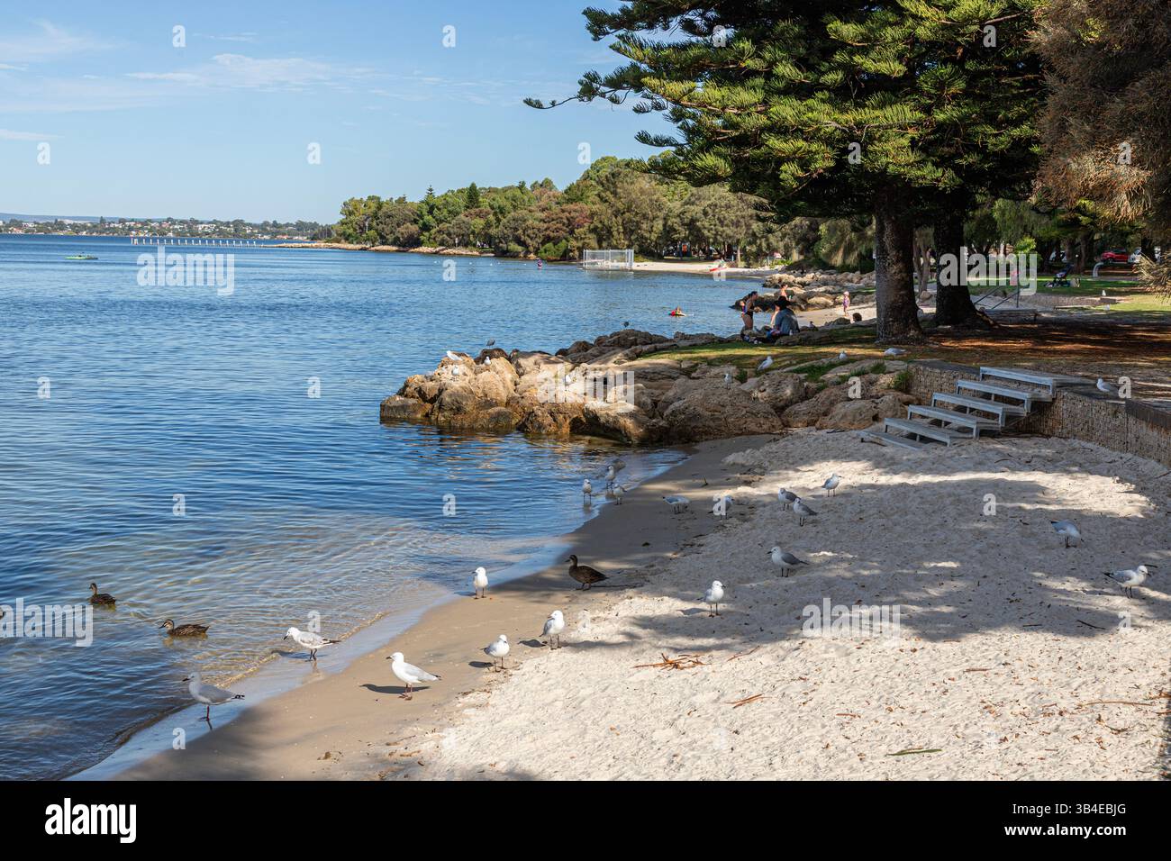 A sandy beach at Point Walter Reserve (Dyoondalup) on the Swan River ...