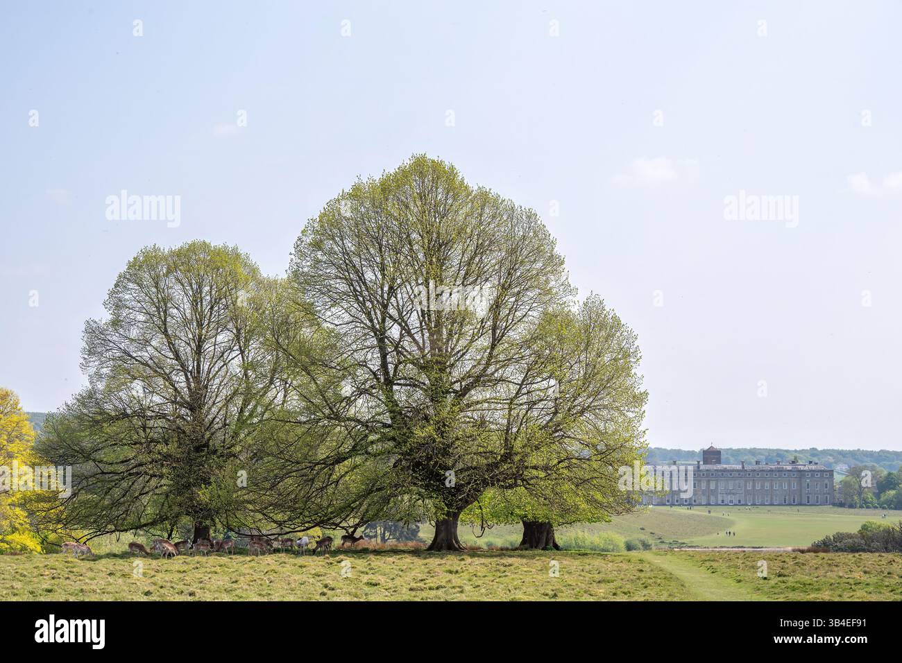 Petworth House West Sussex England a late 17th century Grade 1 listed ...