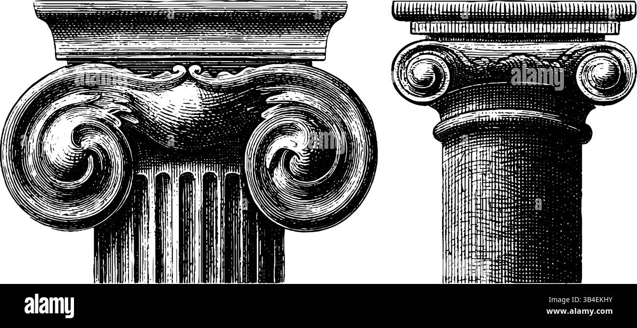 Engraved illustration set of fluted columns with ornate details for classical architecture ...