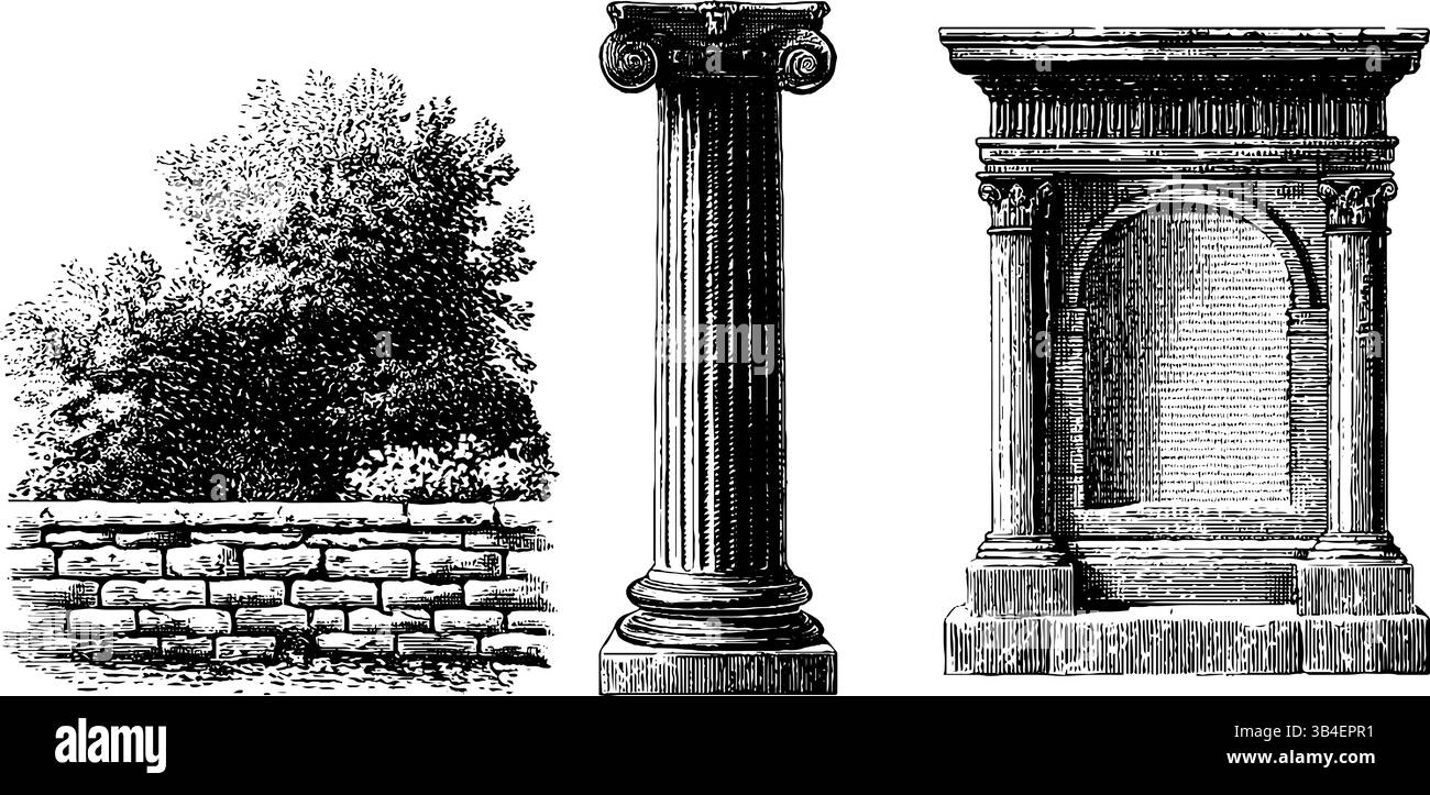 Architectural elements and nature - engraved illustrations of column ...