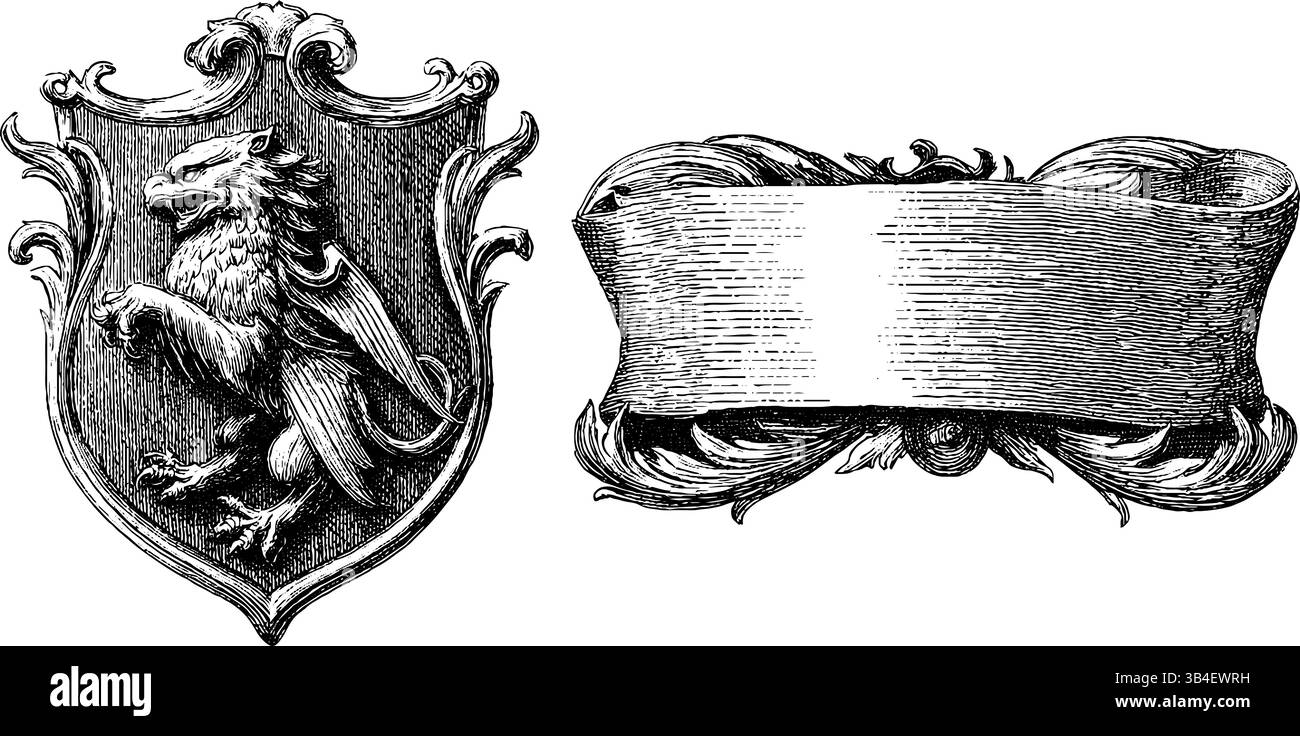 Vintage griffin crest and blank scroll banner engraving for heraldic ...
