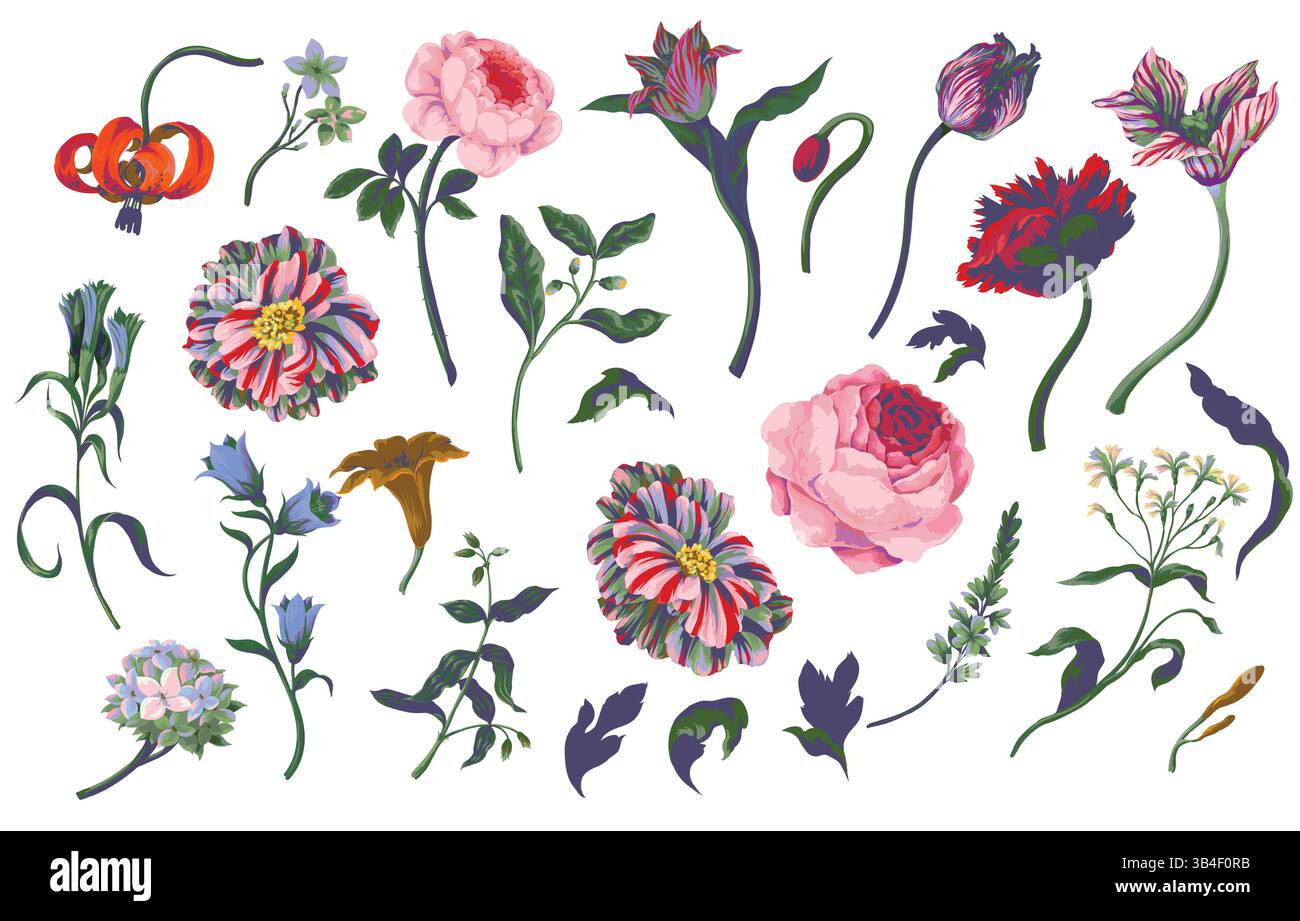 Big set oil painting rococo still-lifes flowers isolated. Vector Stock ...