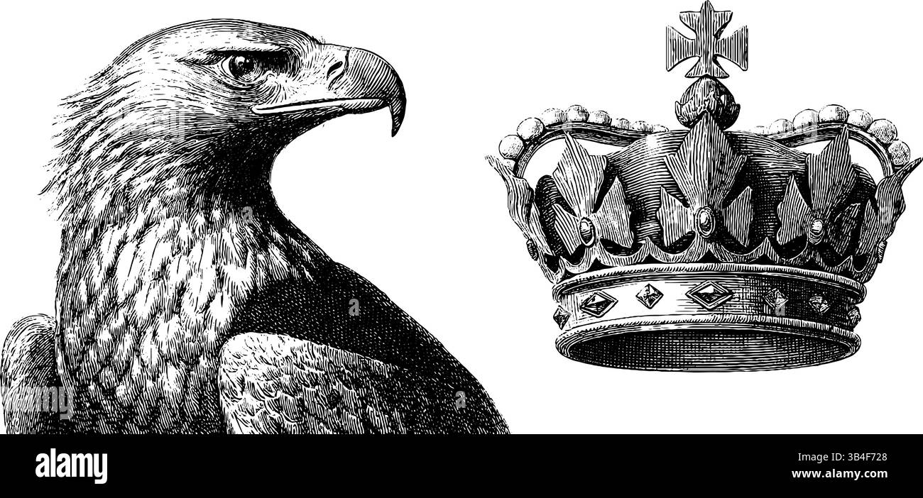 Engraved imperial eagle and crown illustration for artistic design and ...