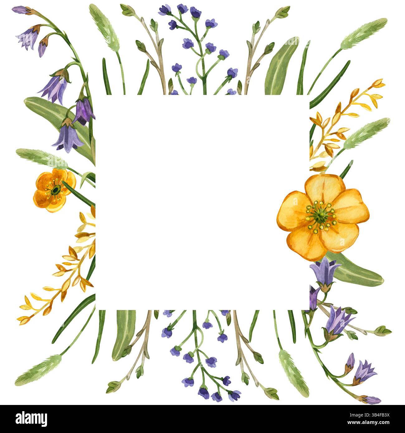 Square frame of meadow flowers and herbs, yellow buttercups ...