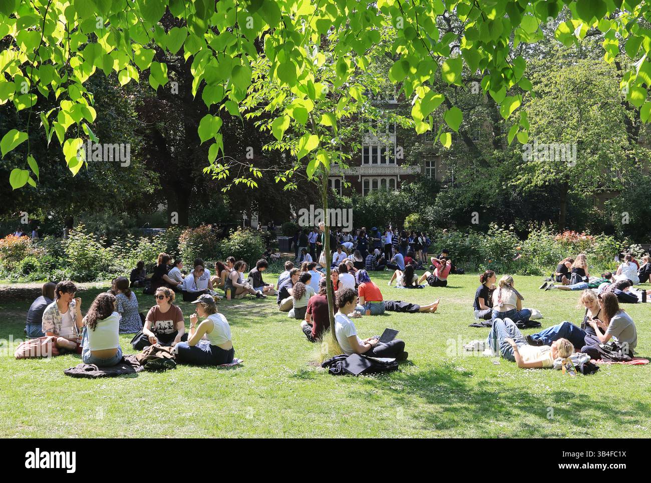 UCL students packed Gordon Square in Bloomsbury at lunchtime, on a hot ...