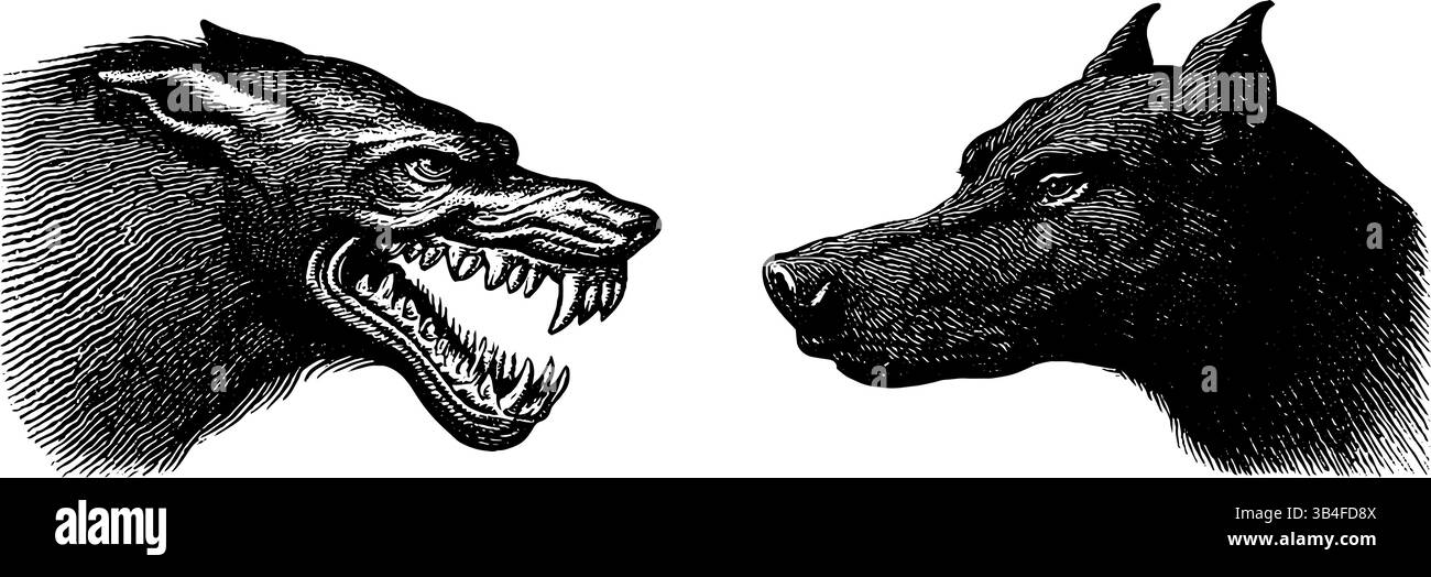 Engraved illustration of mythical hellhound and cerberus for gothic art ...