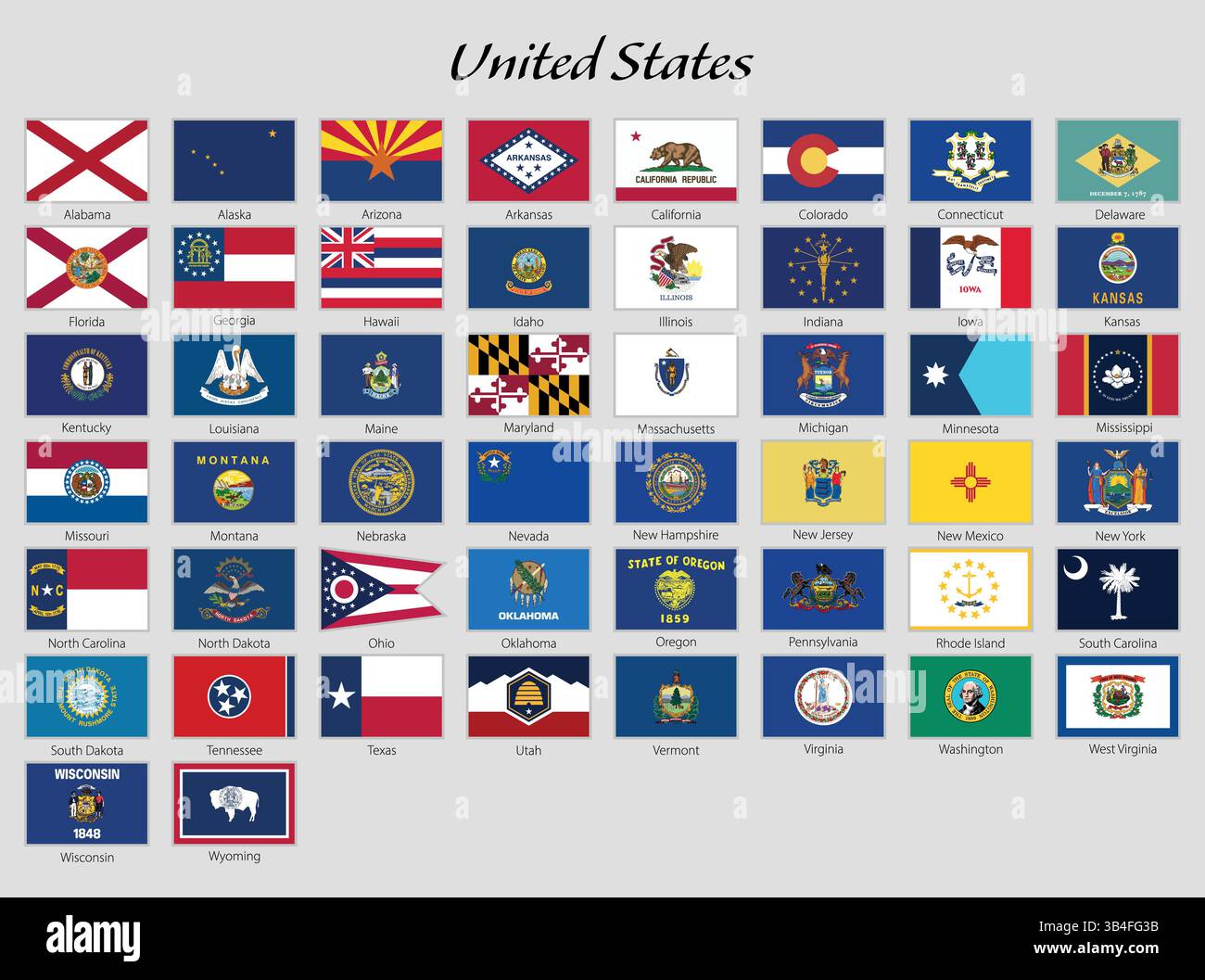 A collection of all U.S. state flags displayed in a grid format with ...