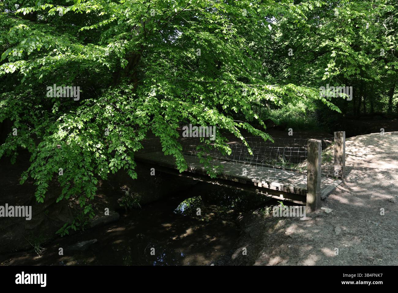 LONDON, ENGLAND - APRIL 30 2025: Bridge over River at Highams Park Lake ...