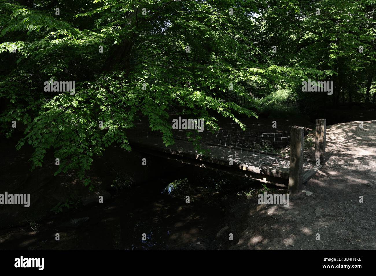 LONDON, ENGLAND - APRIL 30 2025: Bridge over River at Highams Park Lake ...
