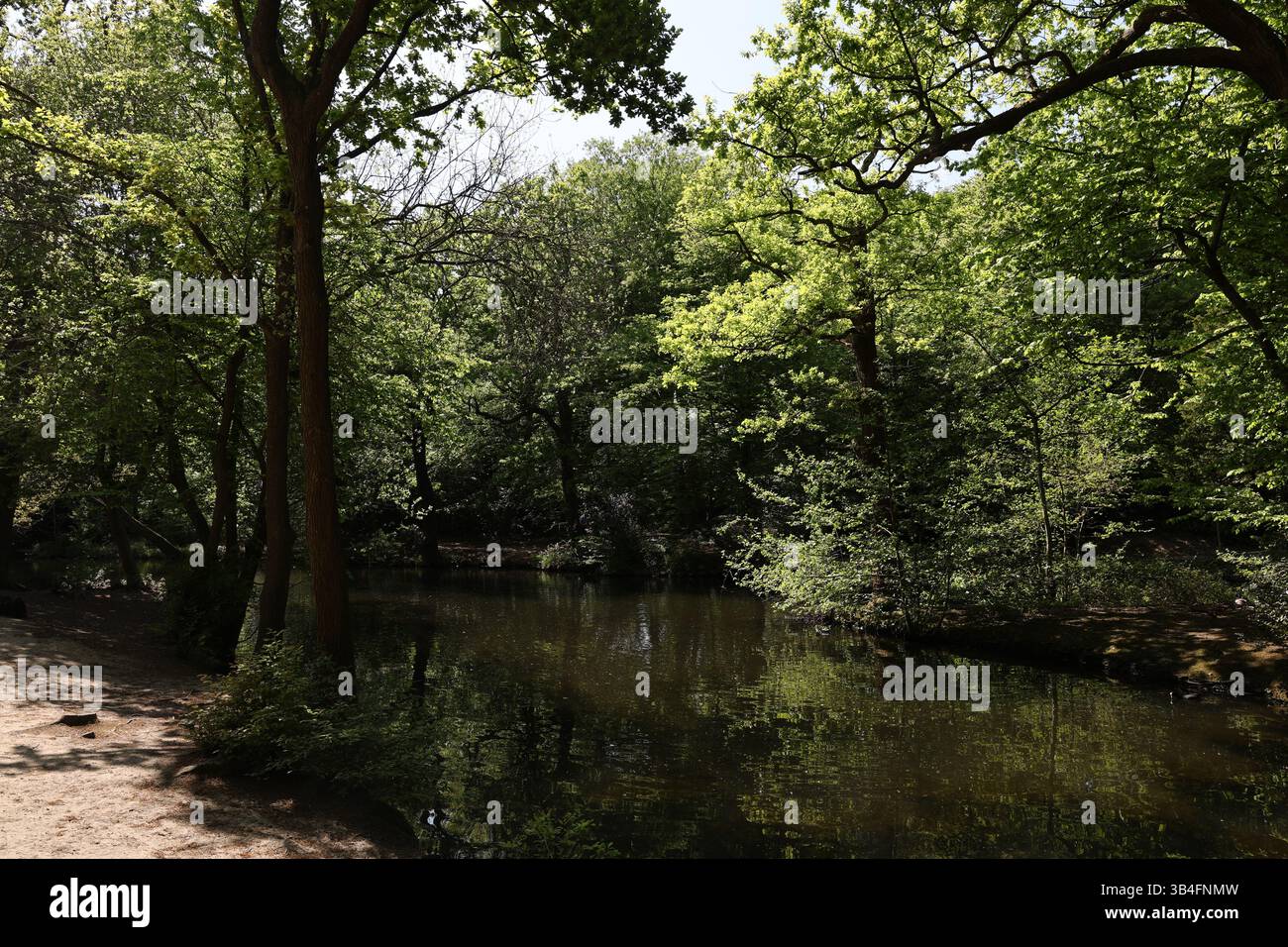 LONDON, ENGLAND - APRIL 30 2025: Highams Park Lake is one of the ...