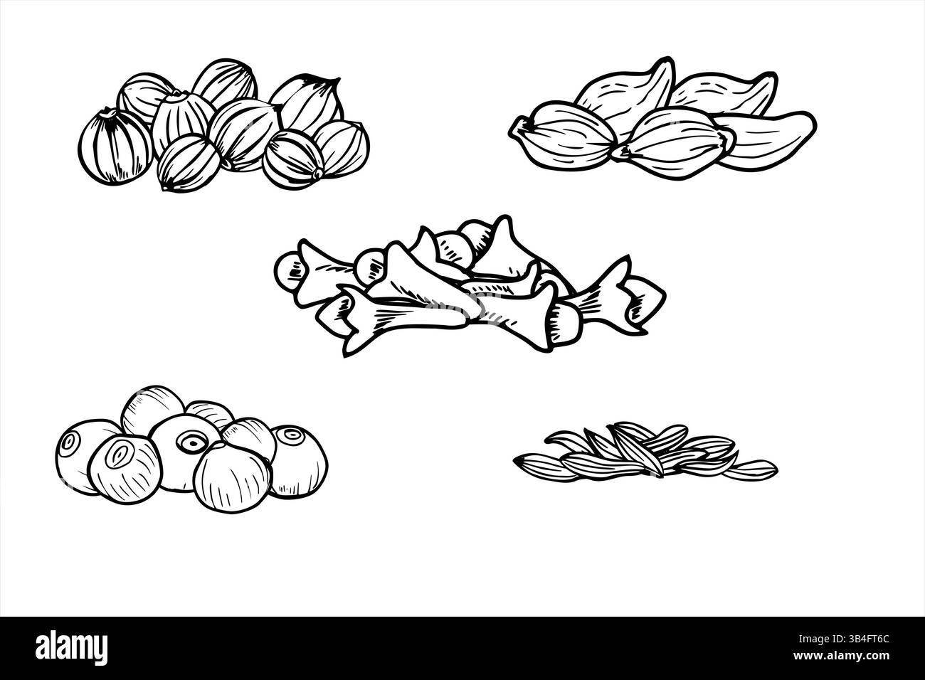 Monochrome aromatic dried spices and seasoning seed pile vector line ...