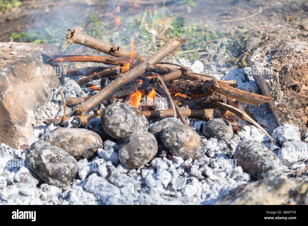 Rustic Campfire Embers Baking: Charcoal-Roasted Potatoes Nestled in ...