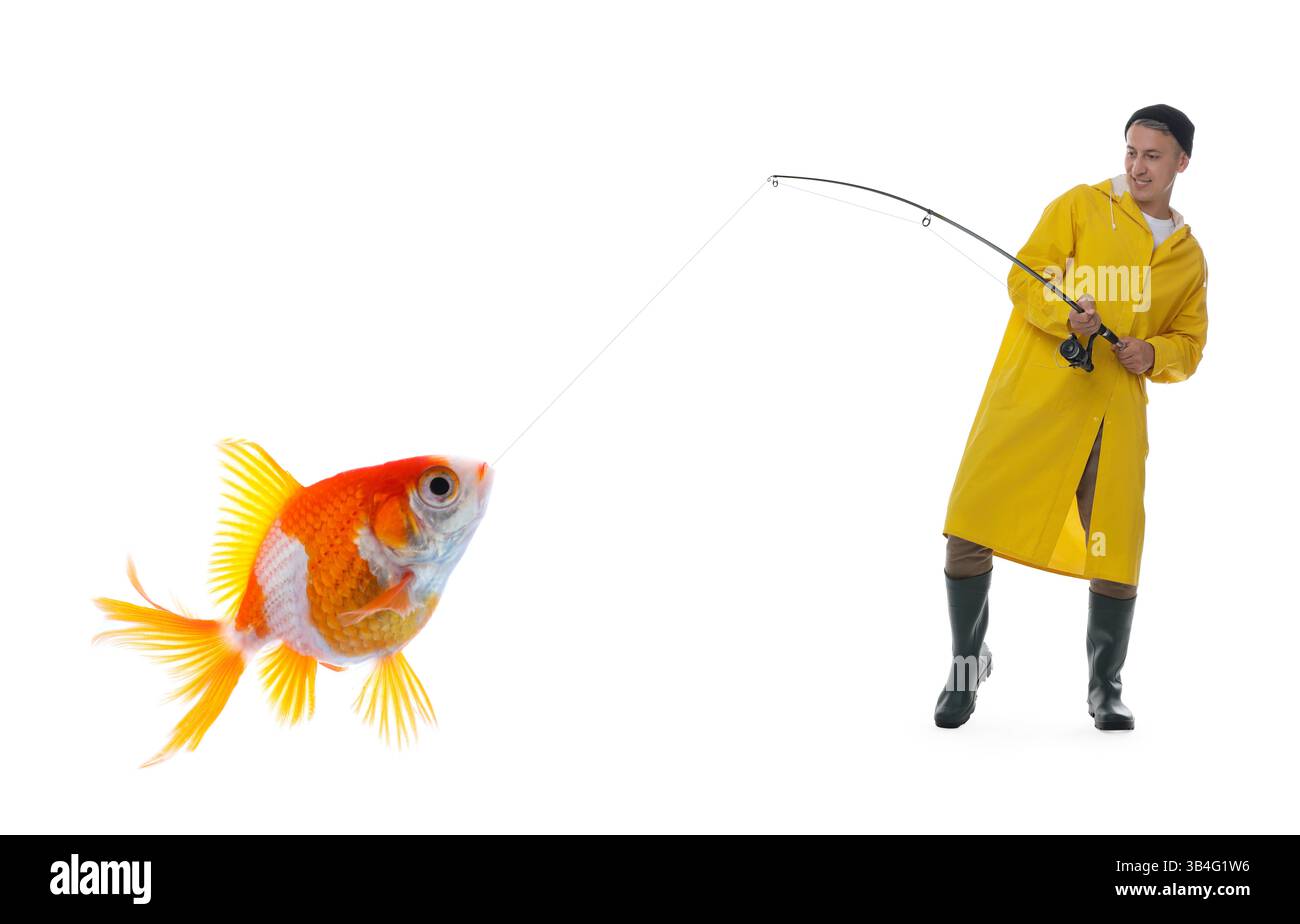Fisherman catching goldfish with rod on white background Stock Photo ...