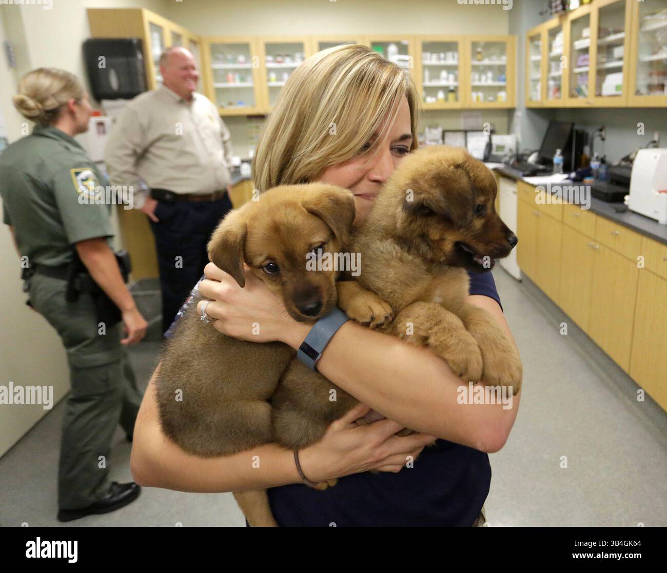 Oct. 15, 2015 - Tampa, Florida, U.S. - Lauryn Postiglione ...