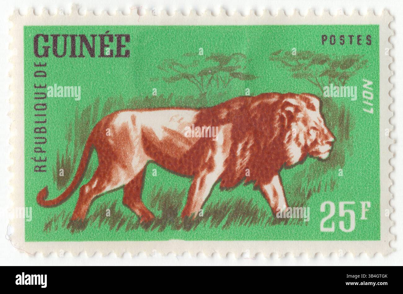GUINEA - 1962 August 25: 25 franc postage stamp depicting Lion. The ...
