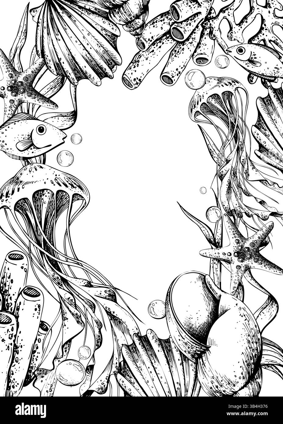 Algae shells Black and White Stock Photos & Images - Alamy