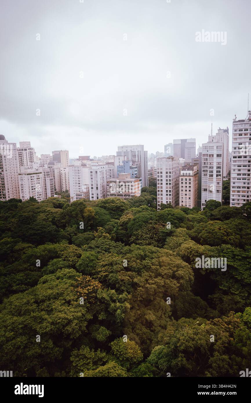 Urban Canopy – São Paulo’s Skyline Embraced by Atlantic Forest Greenery ...