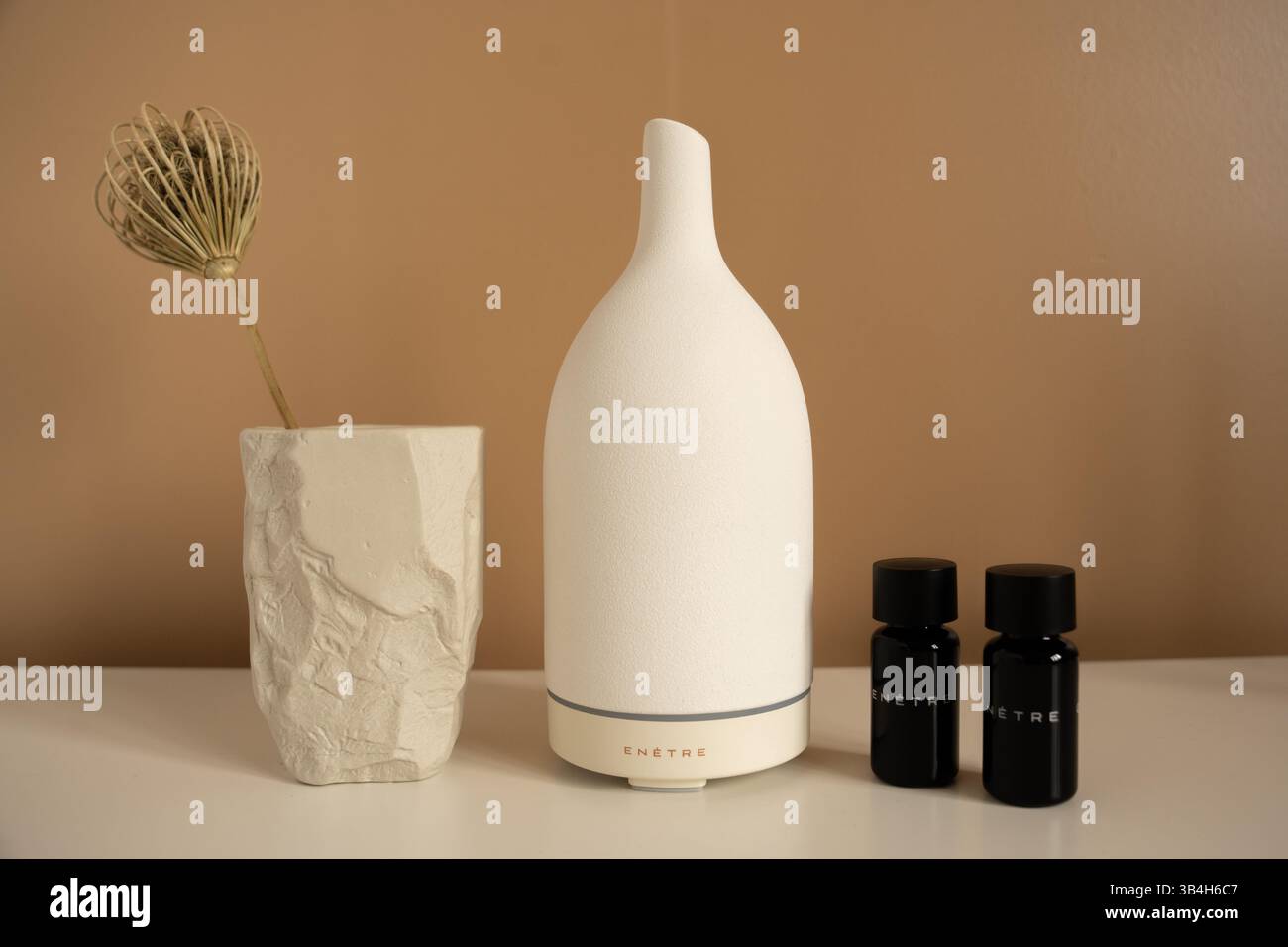 Minimalist Diffuser Setup – Elegant White Ceramic Diffuser with Decor ...