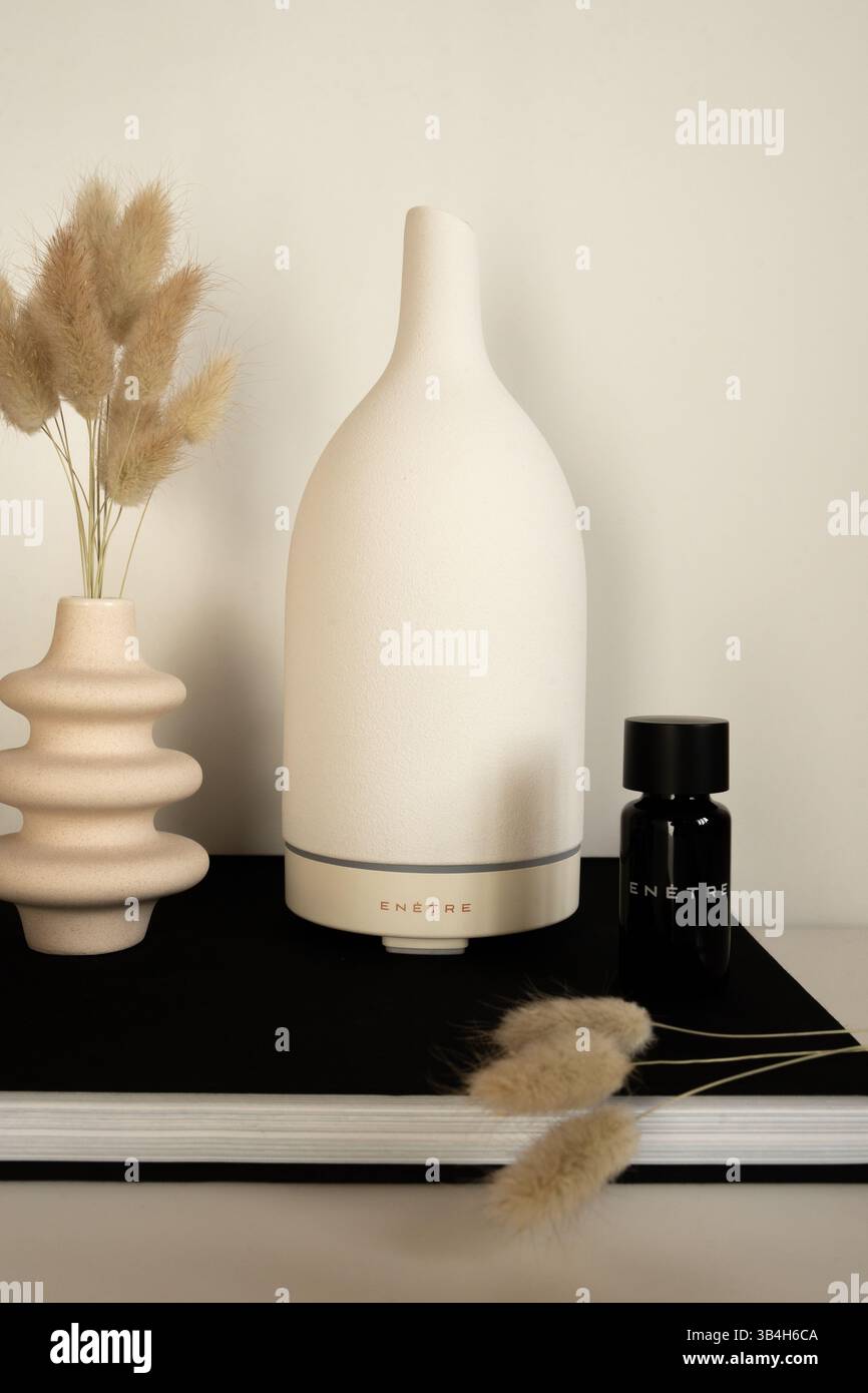 Minimalist Wellness Decor – Ceramic Diffuser with Dried Pampas Grass Stock Photo - Alamy