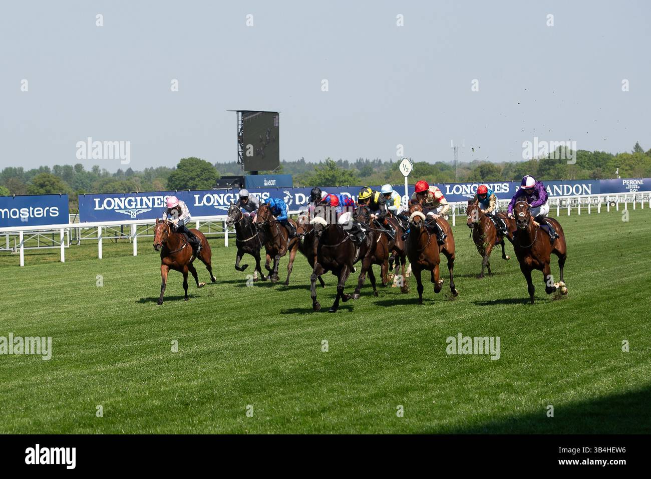 Big mojo horse ascot hi-res stock photography and images - Alamy