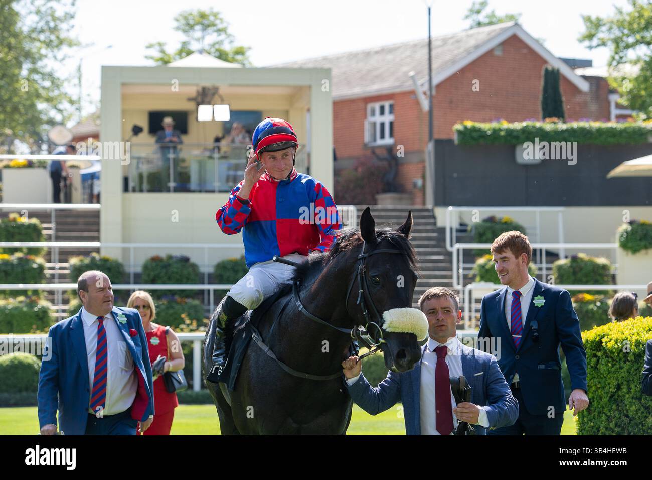 Big mojo horse hi-res stock photography and images - Alamy