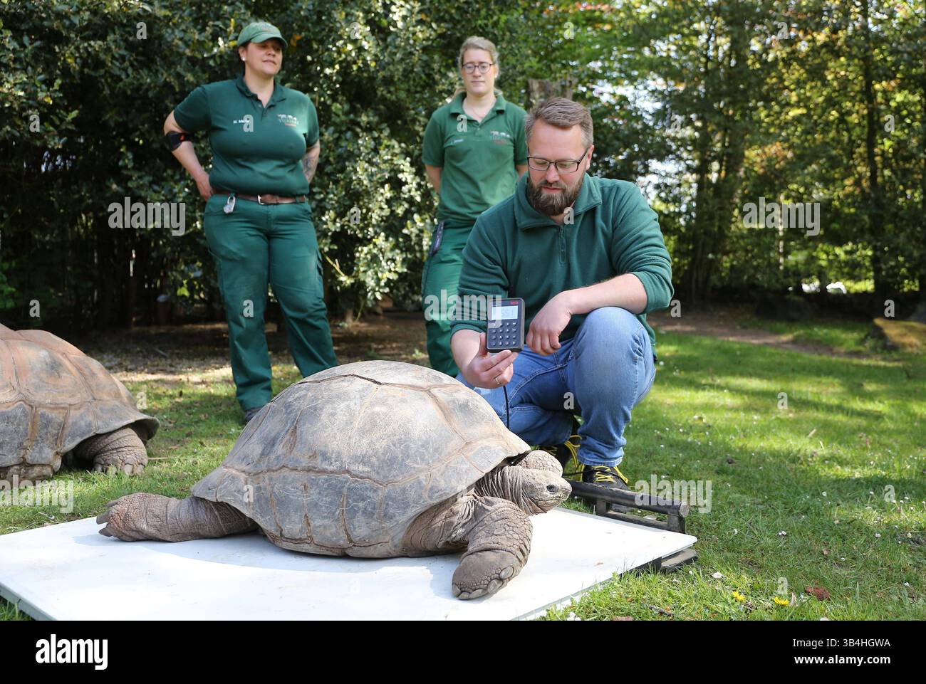 30.04.2025, xcex, GER, Hamburg, Hagenbecks Tierpark, Aldabra ...
