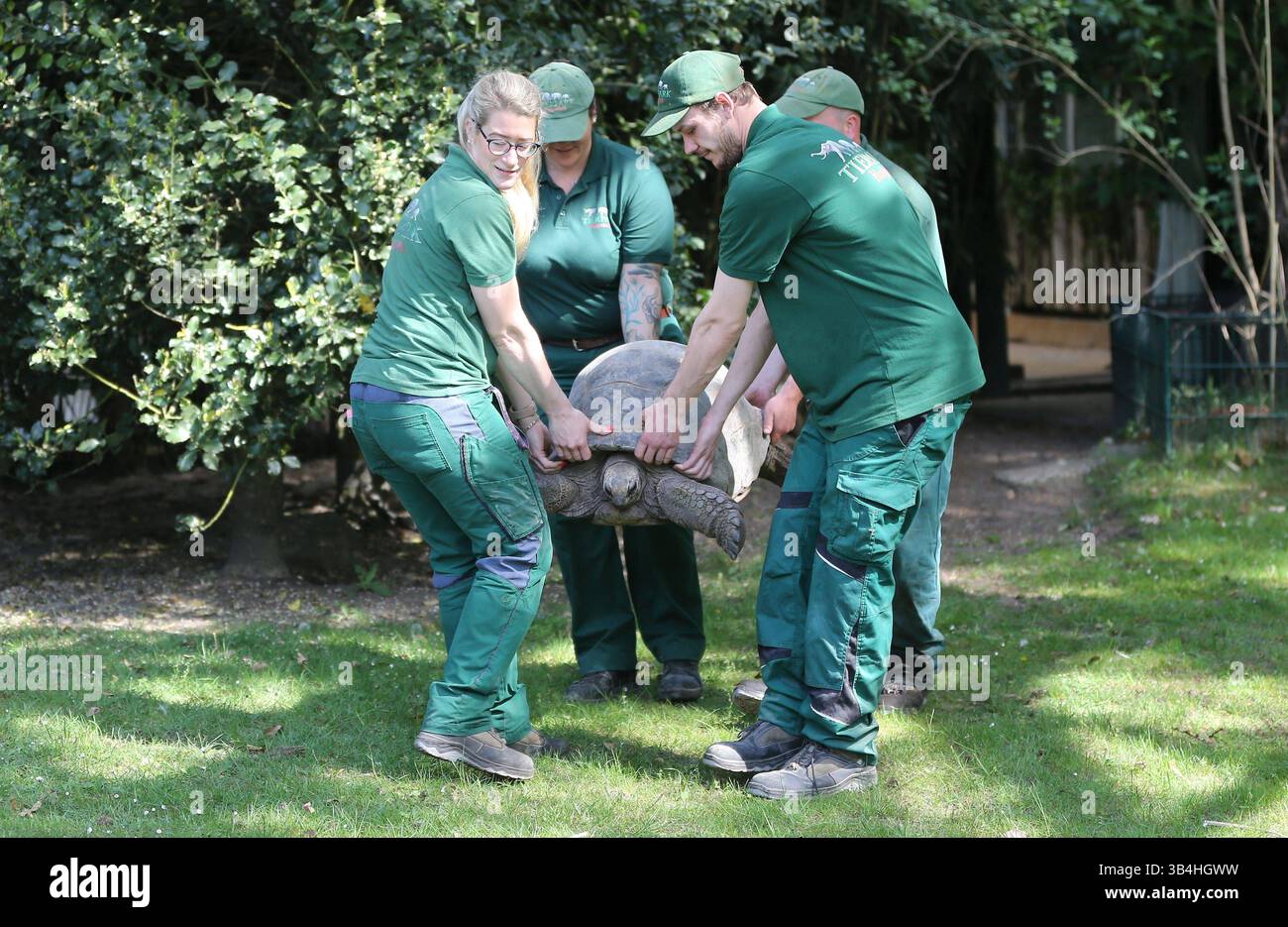 30.04.2025, xcex, GER, Hamburg, Hagenbecks Tierpark, Aldabra ...