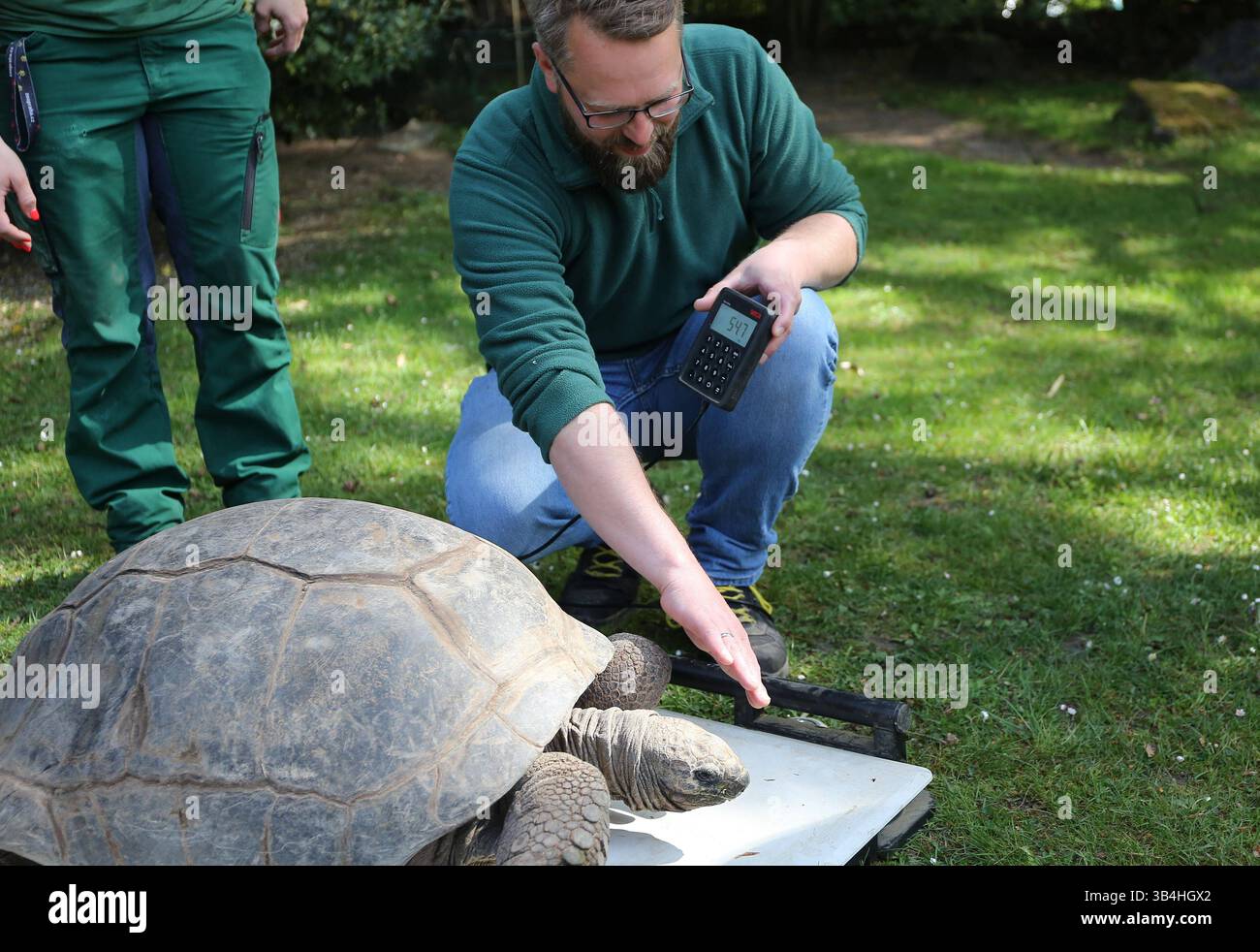 30.04.2025, xcex, GER, Hamburg, Hagenbecks Tierpark, Aldabra ...