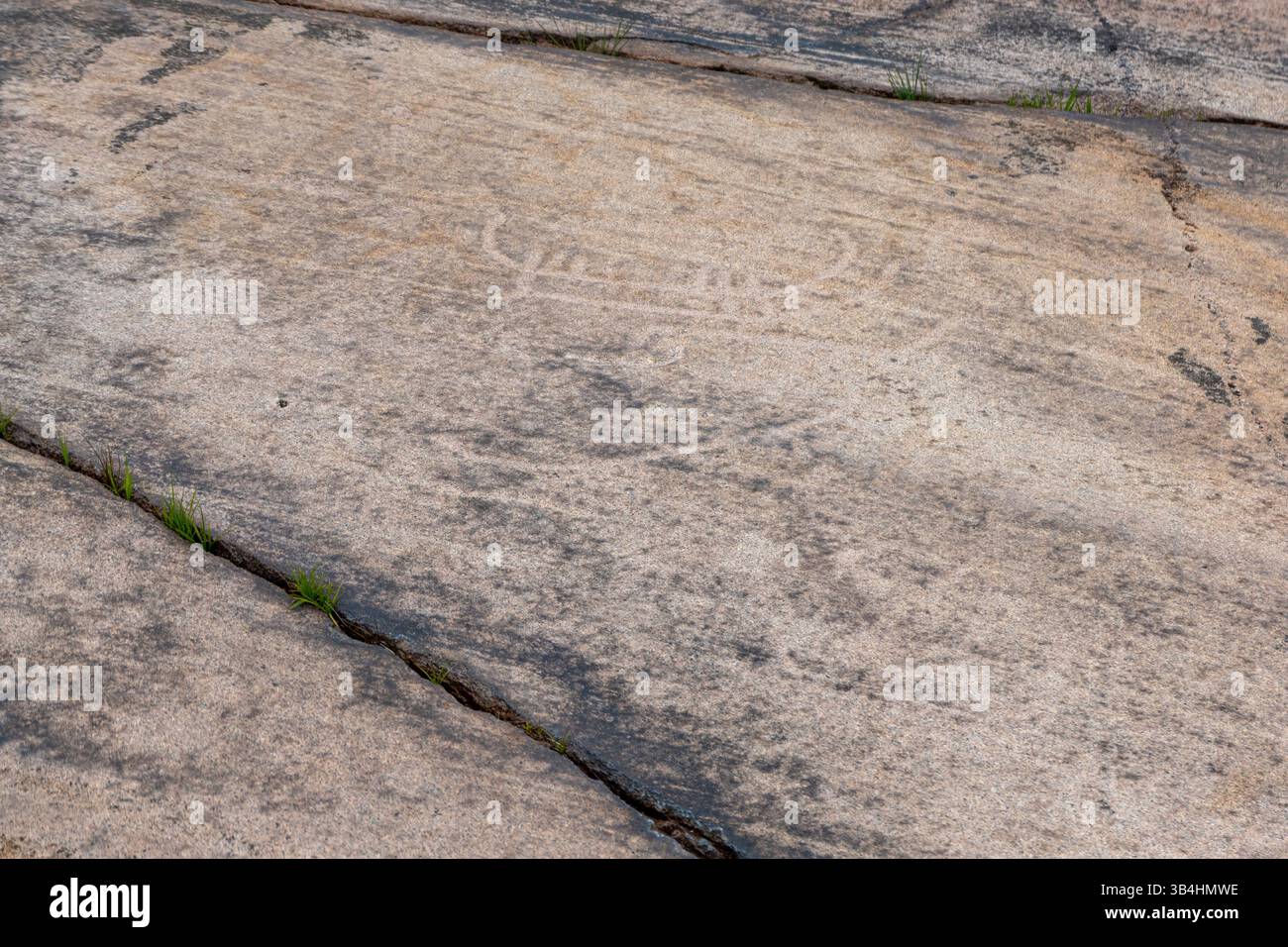 famous 3000 years old Rock Carvings at Tanum World Heritage Site in ...